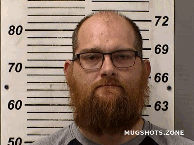 FREEMAN STEVEN ALLEN 03/18/2023 - Henry County Mugshots Zone