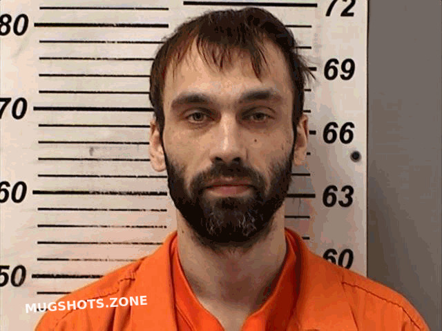 SNAVELY TIMOTHY DEAN 01/08/2024 - Henry County Mugshots Zone