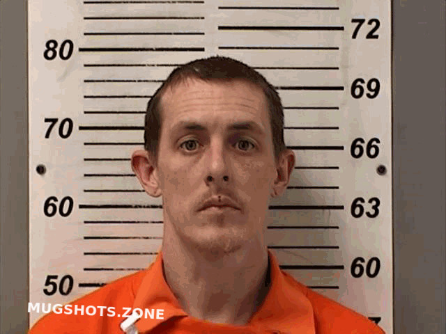 TRESTER KERRY MICHAEL 02/28/2024 - Henry County Mugshots Zone