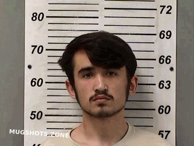 PRYSLAK DOMINIQUE M 05/19/2024 - Henry County Mugshots Zone