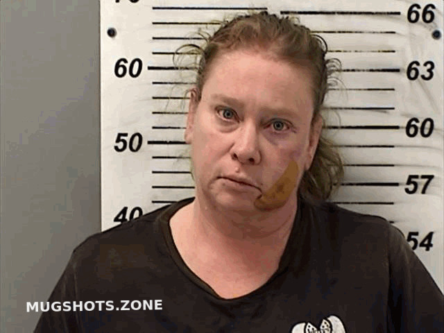 HELBERG HOLLY KAY 01/24/2025 - Henry County Mugshots Zone