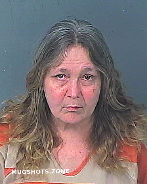 JOHNSON SANDRA MARIE 02/09/2021 - Hernando County Mugshots Zone