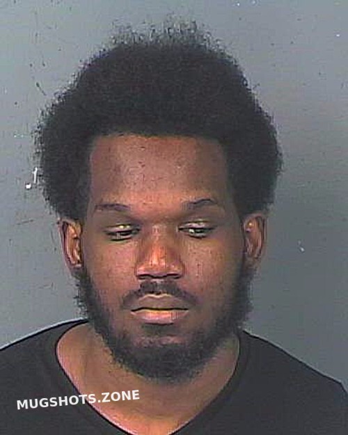 PALMORE XAVIER 04/15/2021 - Hernando County Mugshots Zone