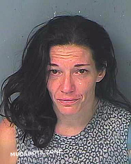 HARTMANN BONNIE ANNEGRET 05/01/2021 - Hernando County Mugshots Zone