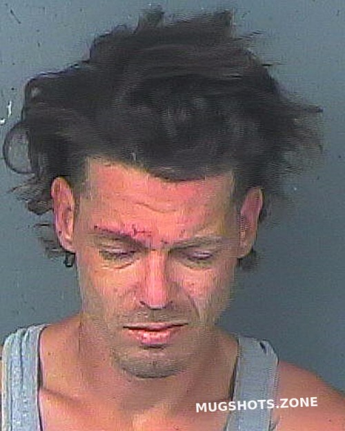 METZLER MATTHEW ROBERT 05/20/2021 - Hernando County Mugshots Zone