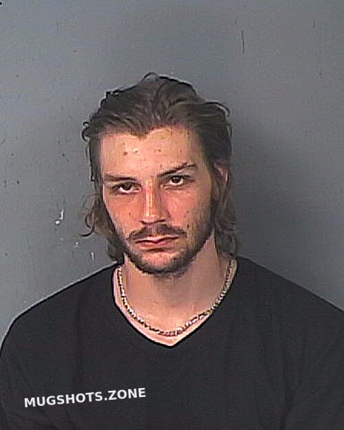 BERGENSTEIN BENJAMIN JAMES 06/01/2021 - Hernando County Mugshots Zone