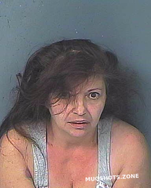 BOWERMASTER TINA MARIE 06/09/2021 - Hernando County Mugshots Zone