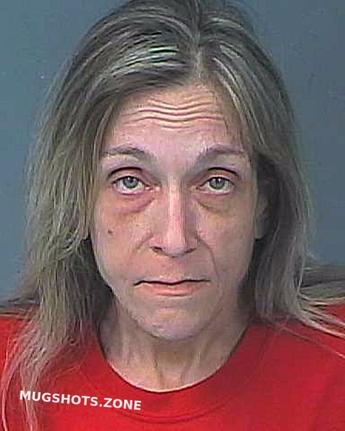WAGNER DENISE ANN 06/10/2021 - Hernando County Mugshots Zone