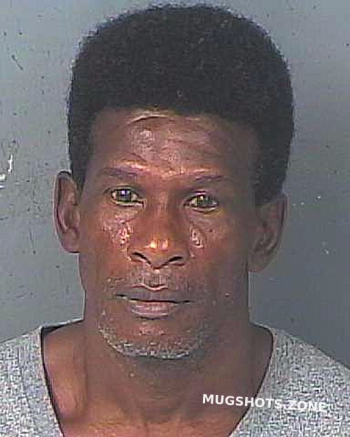 JONES FREDRIC DEMAR 08/23/2021 - Hernando County Mugshots Zone