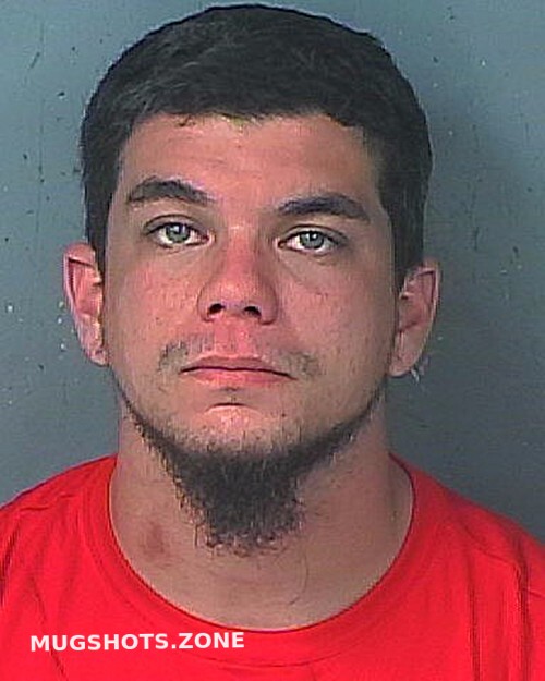 MILLER RYAN TOMAS 11/01/2021 - Hernando County Mugshots Zone