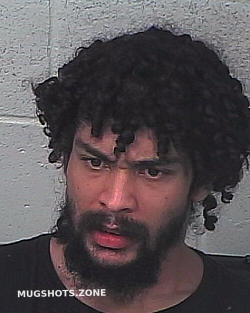 SALCEDO XAVIER MARIO 11/12/2021 - Hernando County Mugshots Zone