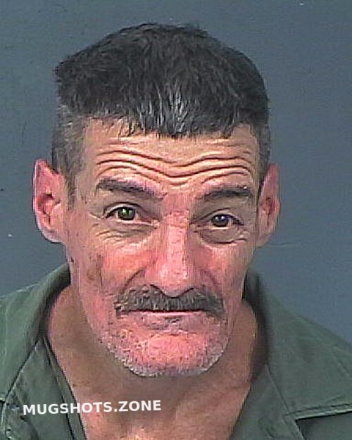 POE STACEY LYNNE 12/04/2021 - Hernando County Mugshots Zone