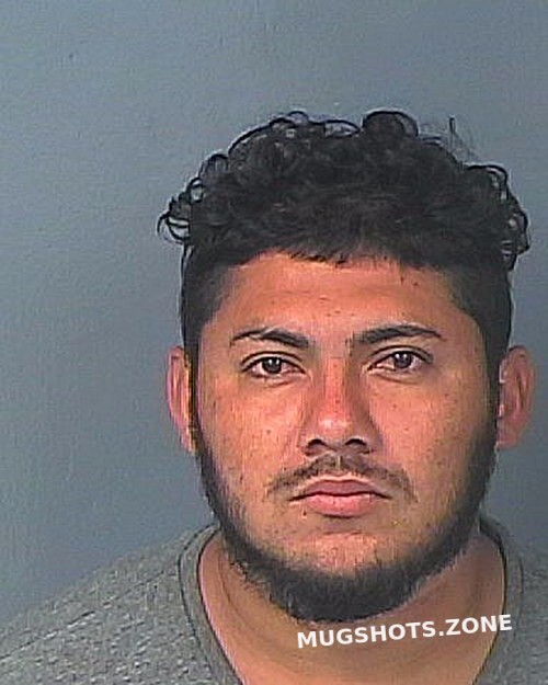 REYES GAMBOA REY DAVID 12/21/2021 - Hernando County Mugshots Zone
