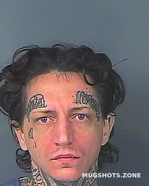 RENNINGER CHRISTOPHER EDWARD 01/02/2022 - Hernando County Mugshots Zone