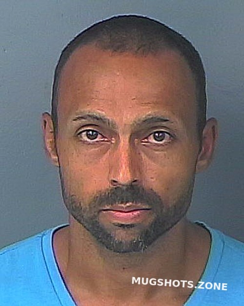 GOODRICH JAMES ROBERT 01/04/2022 - Hernando County Mugshots Zone