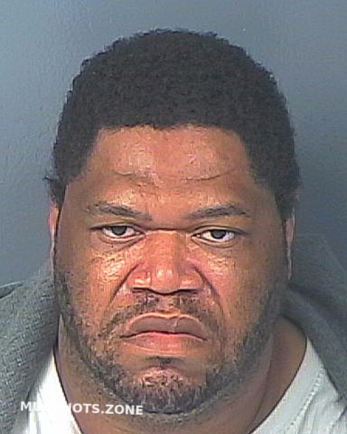 NELSON ROBIN DEWAYNE 01/24/2022 - Hernando County Mugshots Zone