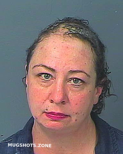REJEVICH JENNIFER LYNN 02/23/2022 - Hernando County Mugshots Zone