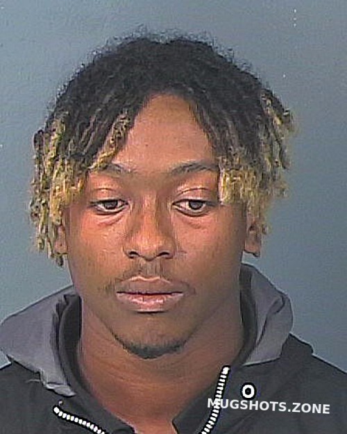 SUTTON RUDOLPH JOSEPH 02/28/2022 - Hernando County Mugshots Zone