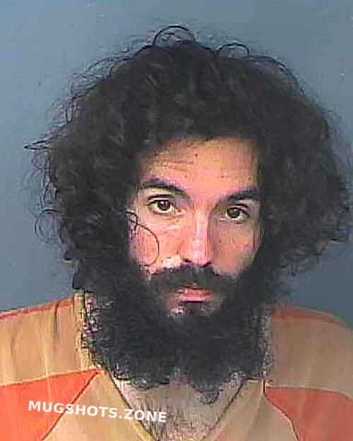 ENRIQUEZ JOHNATHAN GILL 03/08/2022 - Hernando County Mugshots Zone