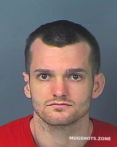 DAVIS MICHAEL LOREN 03/08/2022 - Hernando County Mugshots Zone