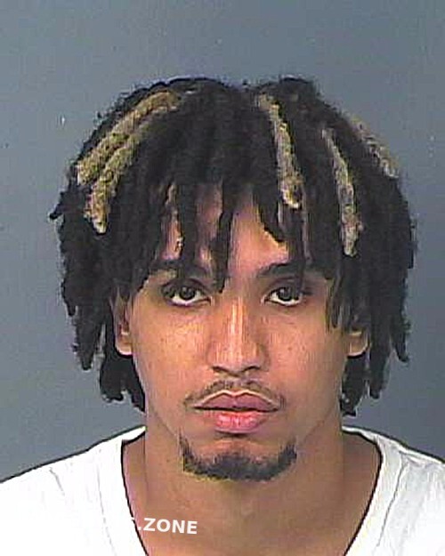 MCCALL JULIAN JEROME 03/21/2022 - Hernando County Mugshots Zone