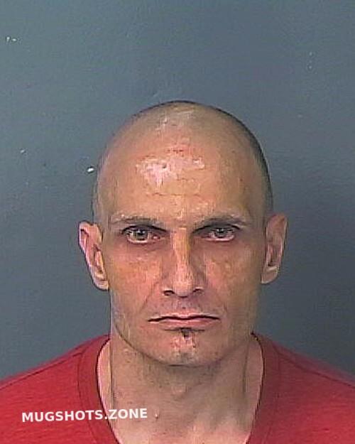 HATTAWAY RICHARD STUDLY 03/29/2022 - Hernando County Mugshots Zone