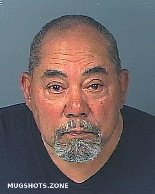 ROMAN WILLIAM 04/15/2022 - Hernando County Mugshots Zone