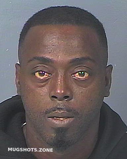 STONE OWEN 04/20/2022 - Hernando County Mugshots Zone