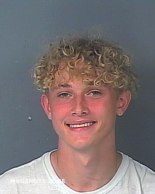 ZERWAS ANDREW JAMES 06/04/2022 - Hernando County Mugshots Zone
