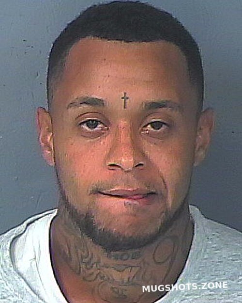WADDY ANDRE EARL 06/20/2022 - Hernando County Mugshots Zone
