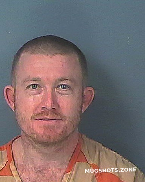 BERENCSI LOUIS LELAND 06/29/2022 - Hernando County Mugshots Zone