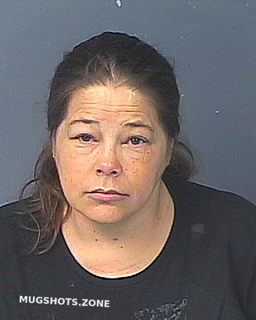 STURGILL LINDA ROBIN 07/15/2022 - Hernando County Mugshots Zone