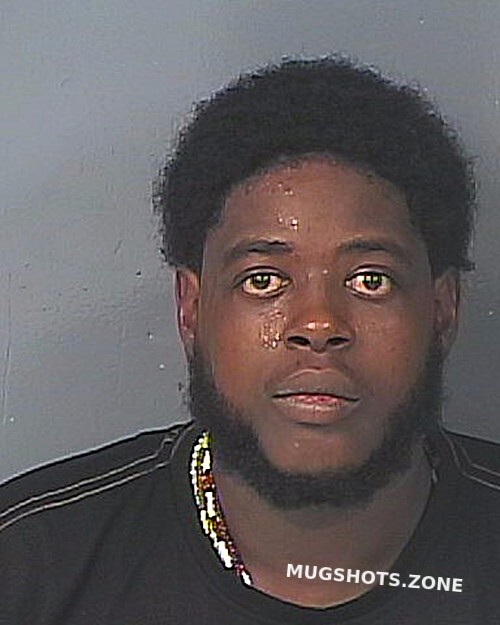 LEE QUENTON DARRAN 07/18/2022 - Hernando County Mugshots Zone