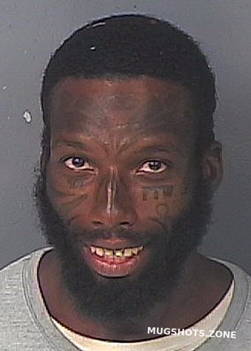RYAN OTIS DAWAYNE 07/21/2022 - Hernando County Mugshots Zone