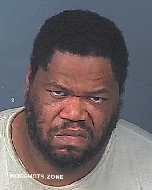 NELSON ROBIN DWAYNE 08/02/2022 - Hernando County Mugshots Zone