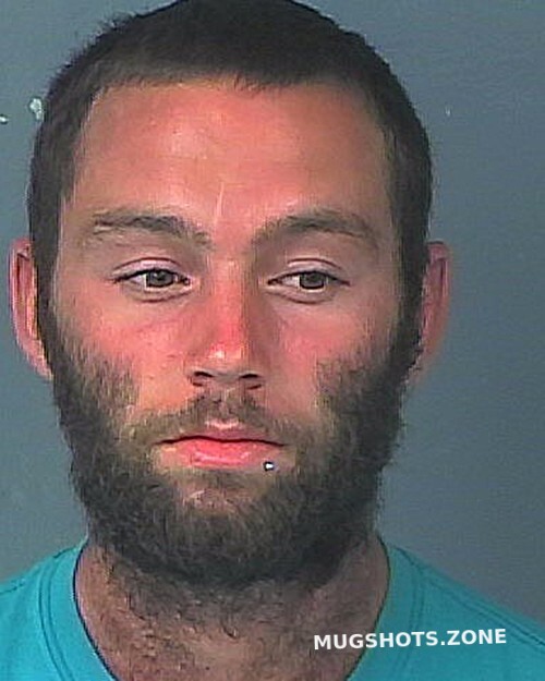 AMBROSINO DANTE CHRISTOPHER 08/06/2022 - Hernando County Mugshots Zone
