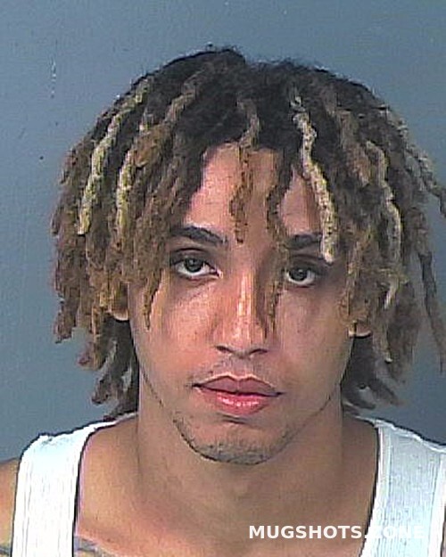 MCCALL JULIAN JEROME 08/19/2022 - Hernando County Mugshots Zone