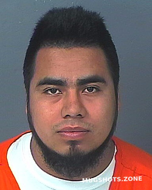 PANZO TEHUNTLE ARMANDO 08/26/2022 - Hernando County Mugshots Zone
