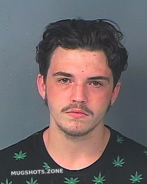 REPLOGLE DILLON NELSON-DEAN 08/29/2022 - Hernando County Mugshots Zone
