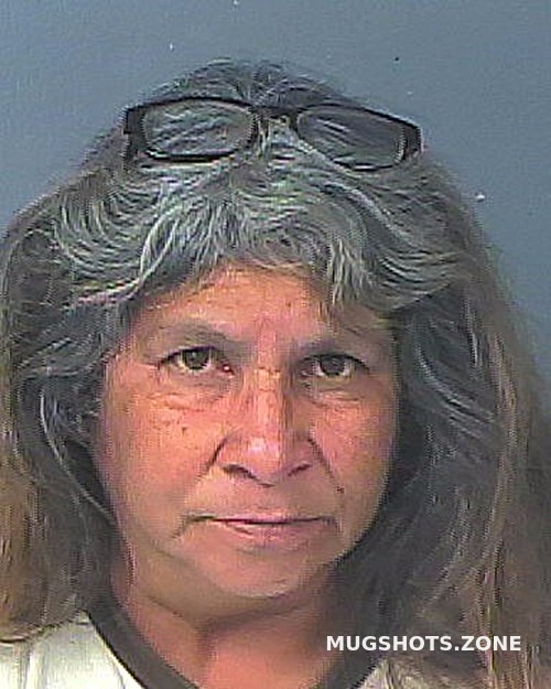 SANCHEZ BARBARA ANN 09/01/2022 - Hernando County Mugshots Zone