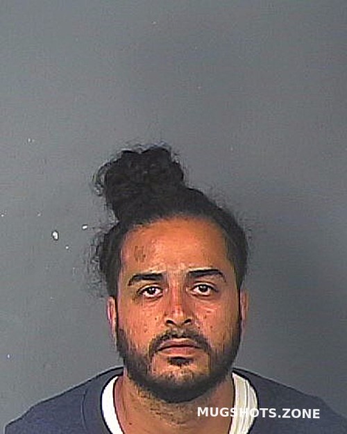GONZALEZ ANGEL 09/05/2022 - Hernando County Mugshots Zone