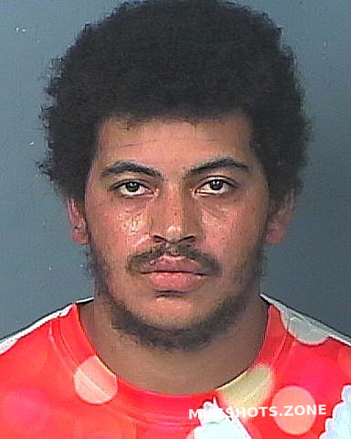 GARMAN TYSON ALEX 09/13/2022 - Hernando County Mugshots Zone