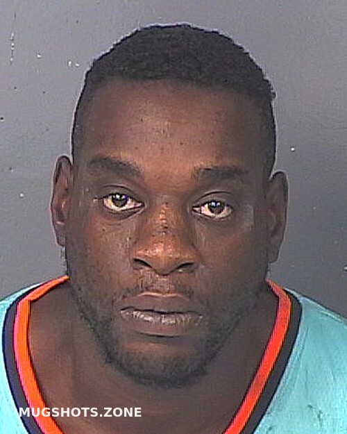 MCKINNIE JAVAR RASHAD 10/04/2022 - Hernando County Mugshots Zone