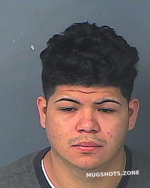 VELASQUEZ GONZALEZ RONALD 10/12/2022 - Hernando County Mugshots Zone
