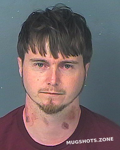 ORAVETZ MICHAEL JON 10/15/2022 - Hernando County Mugshots Zone