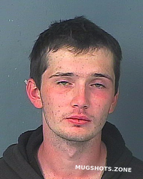 JOHNSON GABRIEL LEE 10/16/2022 - Hernando County Mugshots Zone