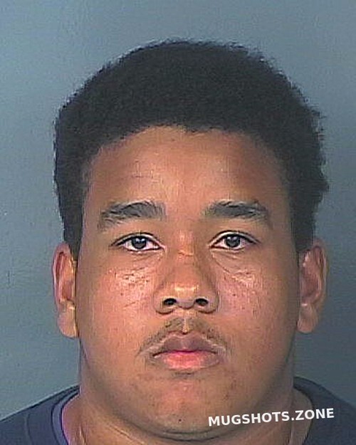 MURRAY ETHAN ISAIAH-JAYSON 10/17/2022 - Hernando County Mugshots Zone