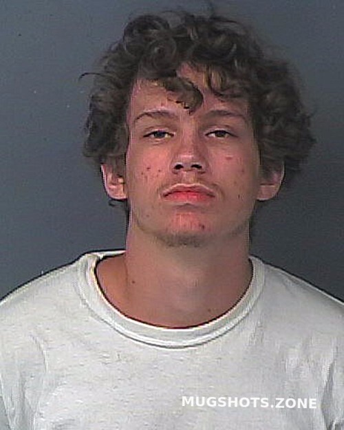 REED STEVEN WILLIAM 10/20/2022 - Hernando County Mugshots Zone
