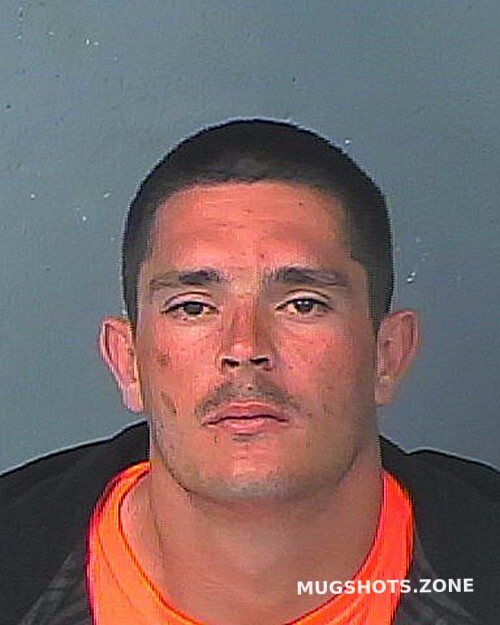 BRISCOE JOSHUA 10/21/2022 - Hernando County Mugshots Zone