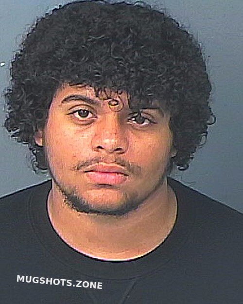 MONEGRO ISAIAH JOSE 10/22/2022 - Hernando County Mugshots Zone